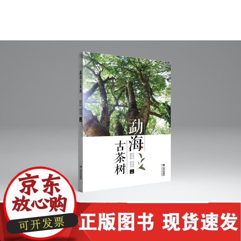 C 勐海古茶树 云南科技出版社