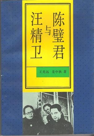 陈璧君与汪精卫 王光远,姜中秋