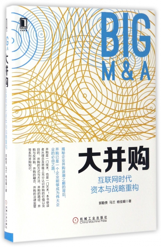 大并购(互联网时代资本与战略重构)(精)
