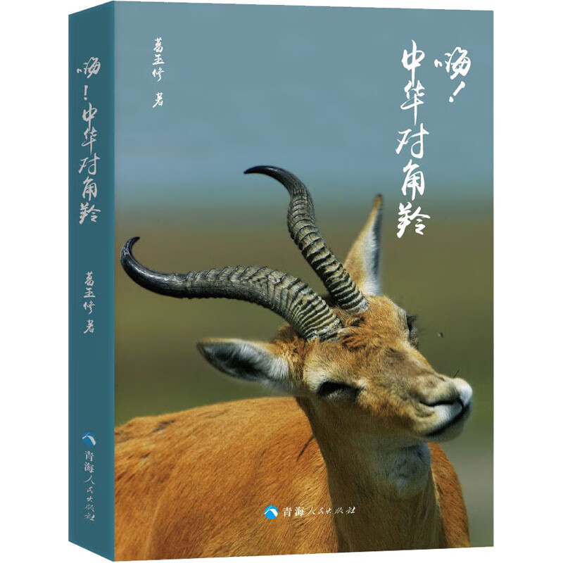嗨!中华对角羚 图书