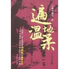 遍地温柔 冯积岐