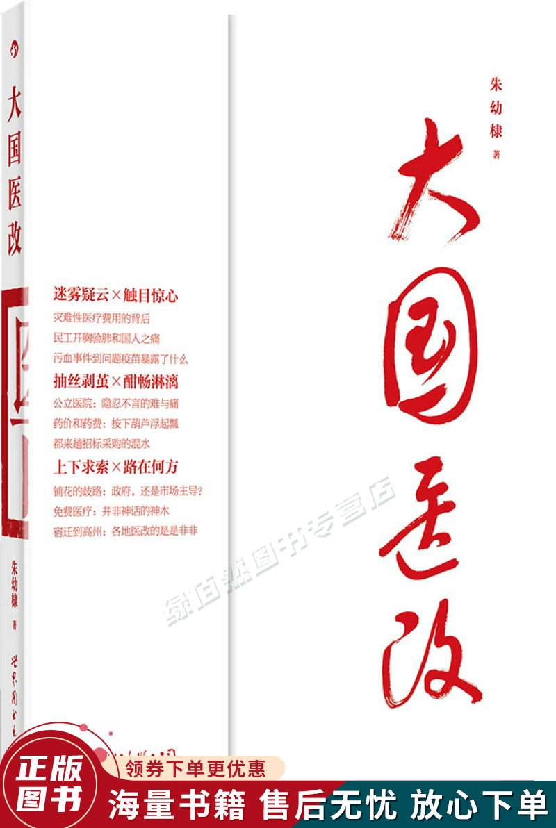 大国医改