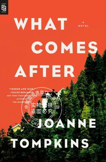现货 What Comes After英文原版 Joanne Tompkins企鹅兰登出版