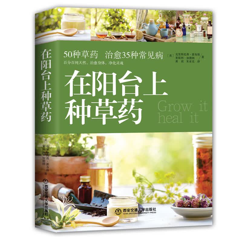 在阳台上种草药