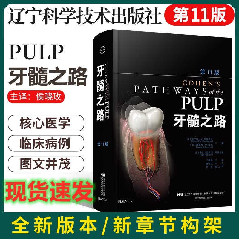 牙髓之路 第11十一版 牙髓治疗并发症的处理 口腔科学书籍可搭牙髓病 口腔治疗 种植学