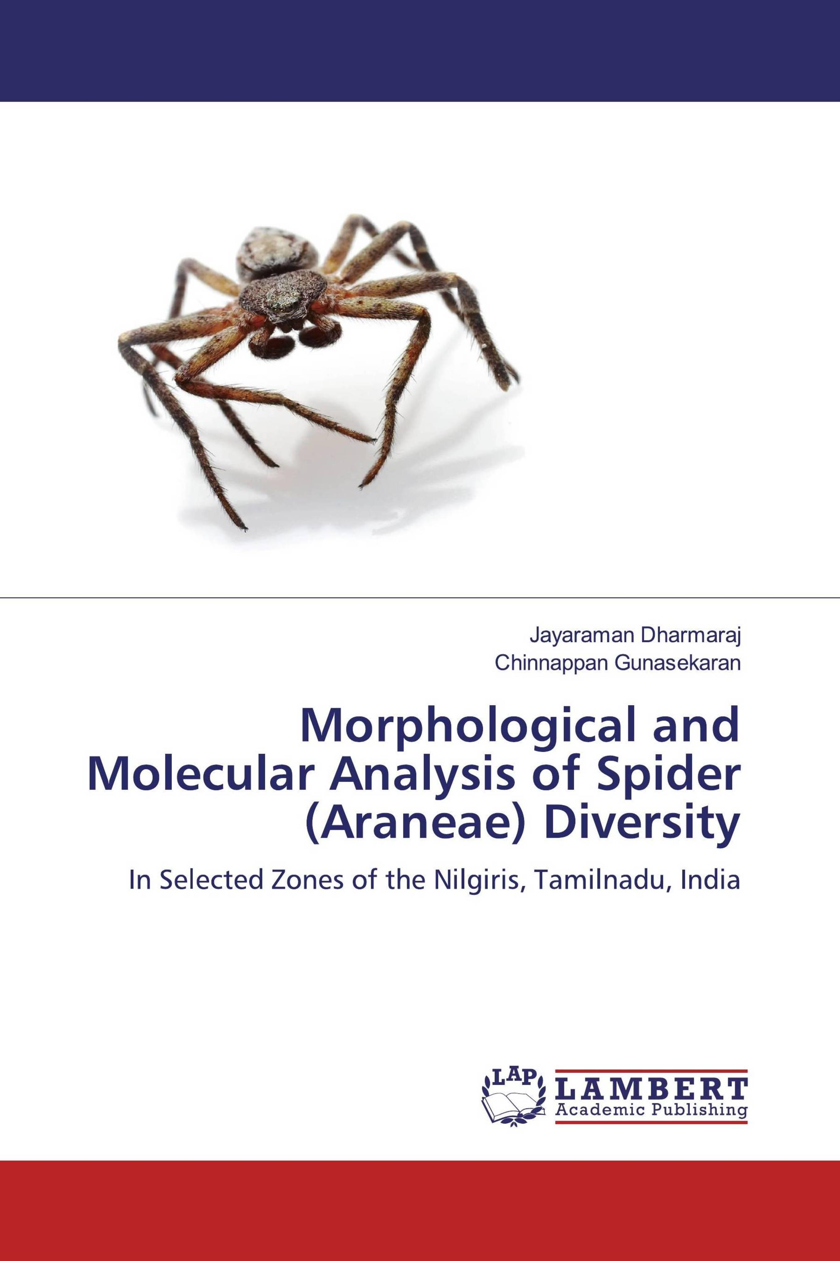 Morphological and Molecular Analysis of Spider (