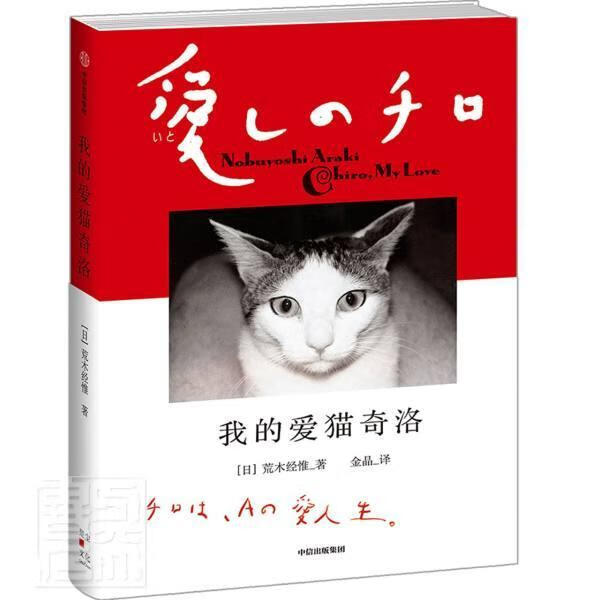 我的爱猫奇洛荒木经惟中信出版社9787508689142 摄影书籍