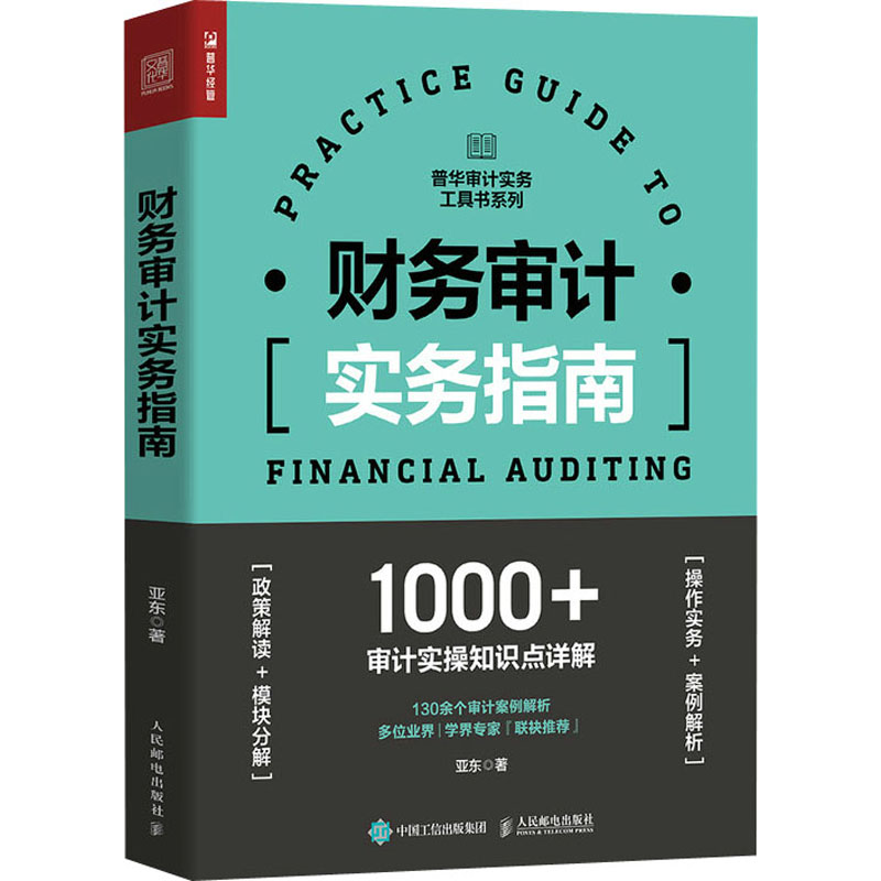 财务审计实务指南