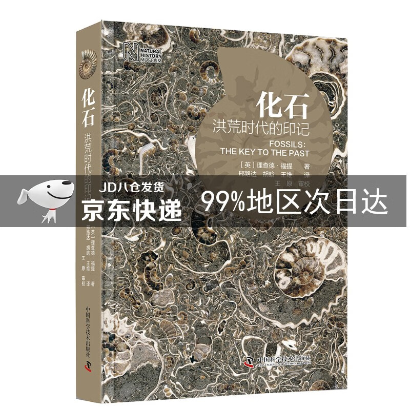 化石 洪荒时代的印记