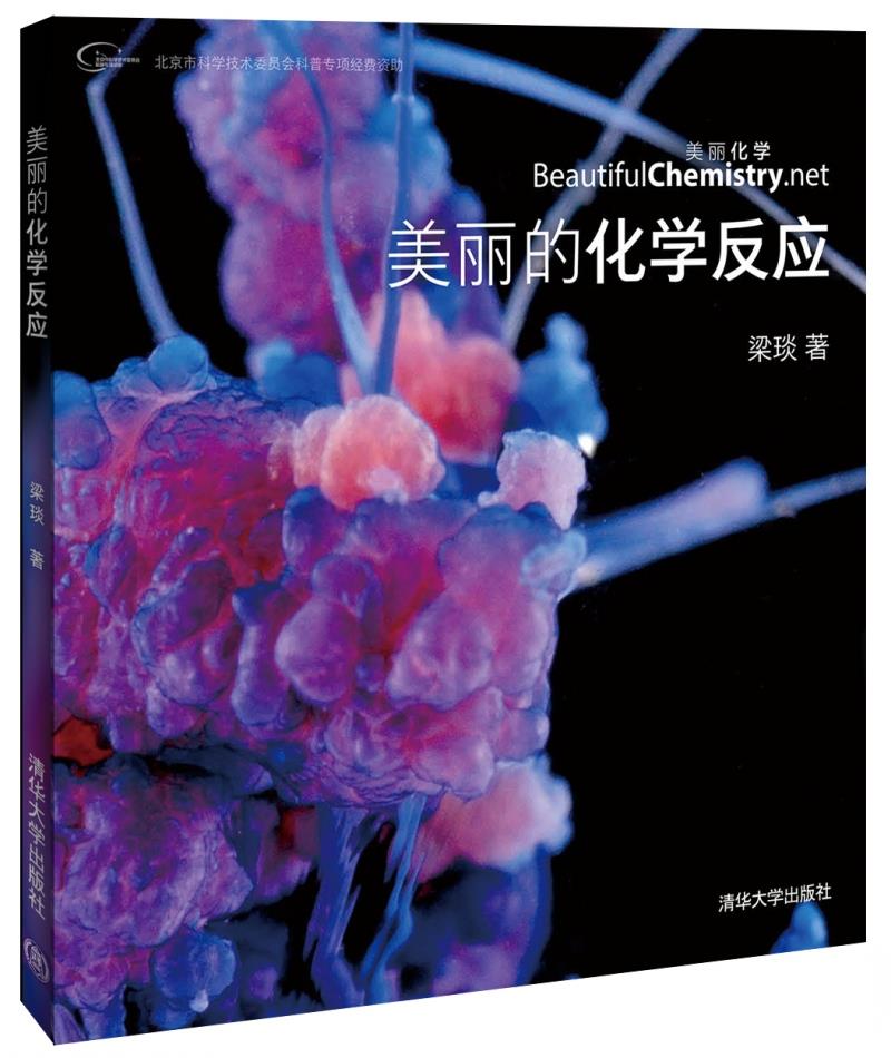 【 】美丽的化学反应 梁琰 清华大学出版社