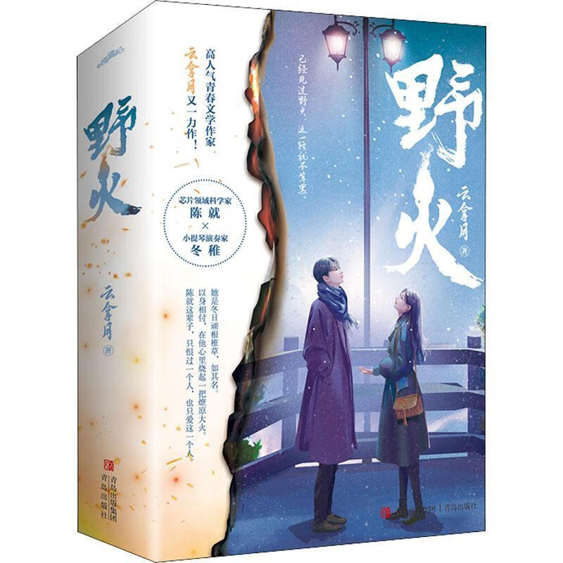野火青春文学 图书