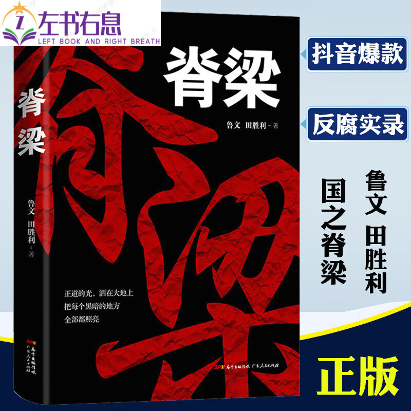 脊梁鲁文田胜利著共和国的脊梁小说正能量反腐电视剧官场小说正道的光洒在大地上广东人民出版社