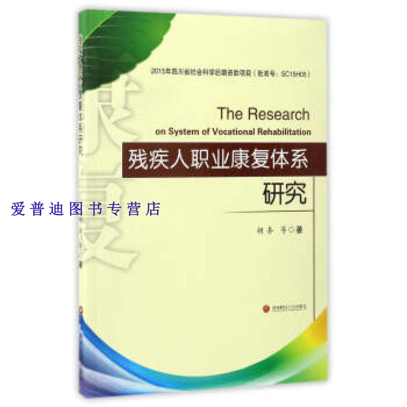 残疾人职业康复体系研究【好书，下单速发】