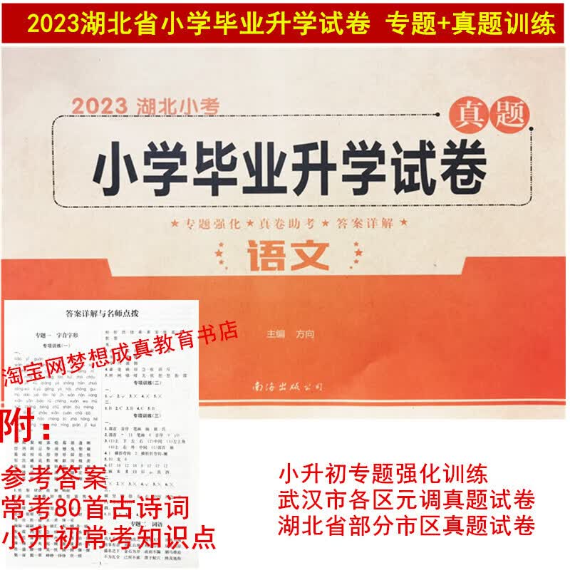 2023湖北省武汉市小考小升初小学毕业升学语文专题强化+真题试卷