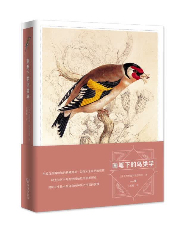 画笔下的鸟类学