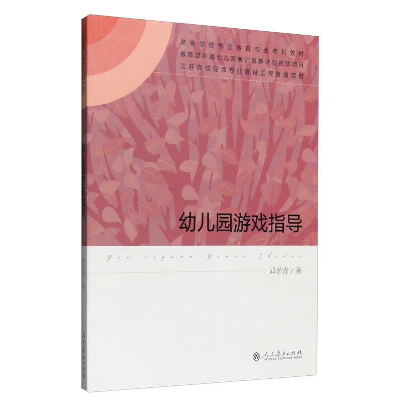 正规幼儿园游戏指导