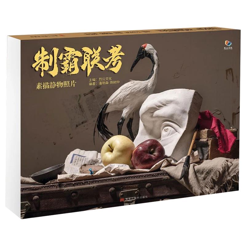 制霸联考素描静物照片 【书】