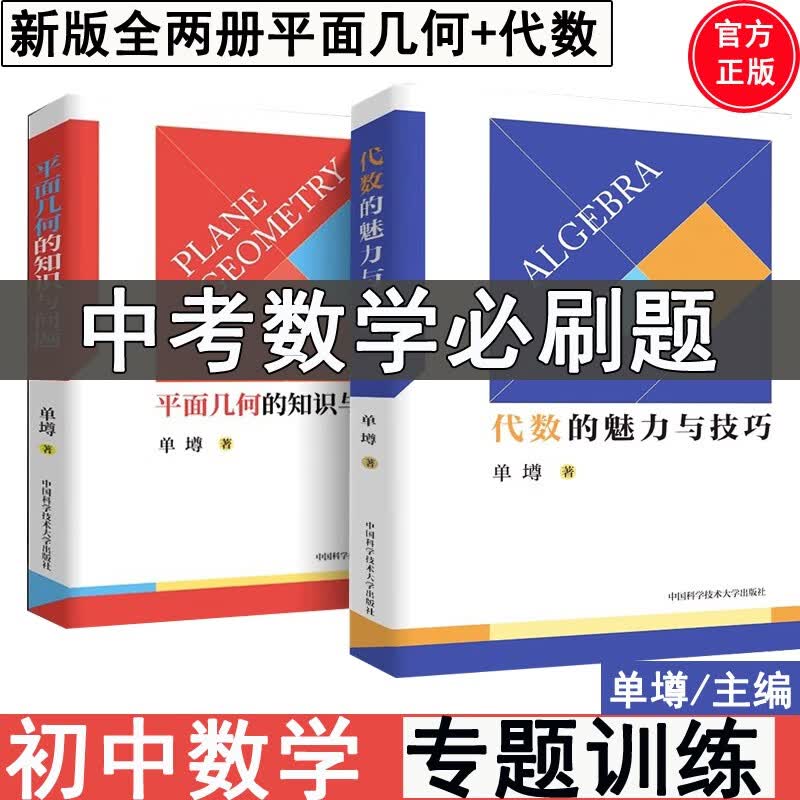 单墫【全2册】代数的魅力与技巧+平面几何的知识与问题 中科大初中数学教辅 2021中考数学必刷题初一初二初三初中数学解题规律方法与技巧789年级中考数学刷题辅导