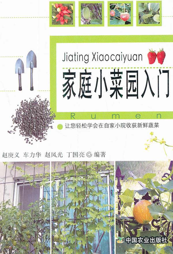 家庭小菜园入门