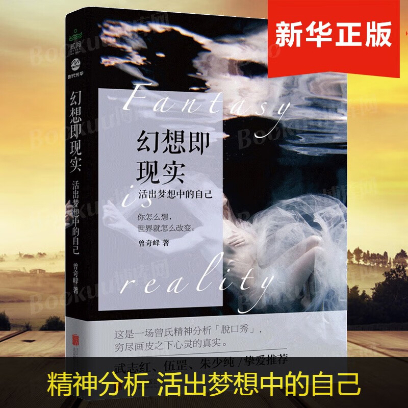 曾奇峰全三册心理学书籍 适度的防御+隐秘的人格+灵动的咨询 幻想即现实 精神分析入门65讲 幻想即现实