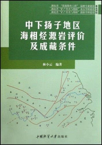 中下扬子地区海相烃源岩评价及成藏条件