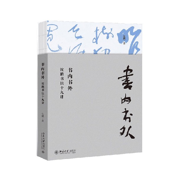 书内书外(沈鹏书法十九讲)