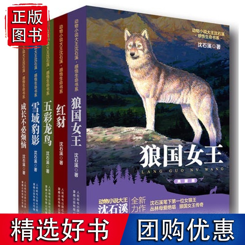 动物小说大沈石溪·感悟生命书系（套装共5册）
