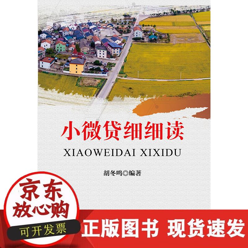 【现货】小微贷细细读