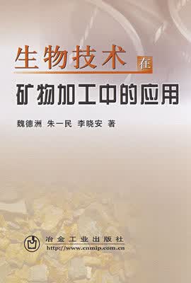 生物技术在矿物加工中的应用魏德洲
