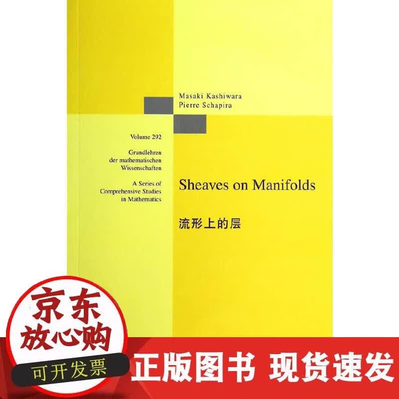【现货】流形上的层