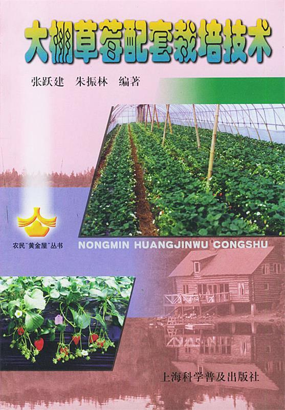 大棚草莓栽培技术