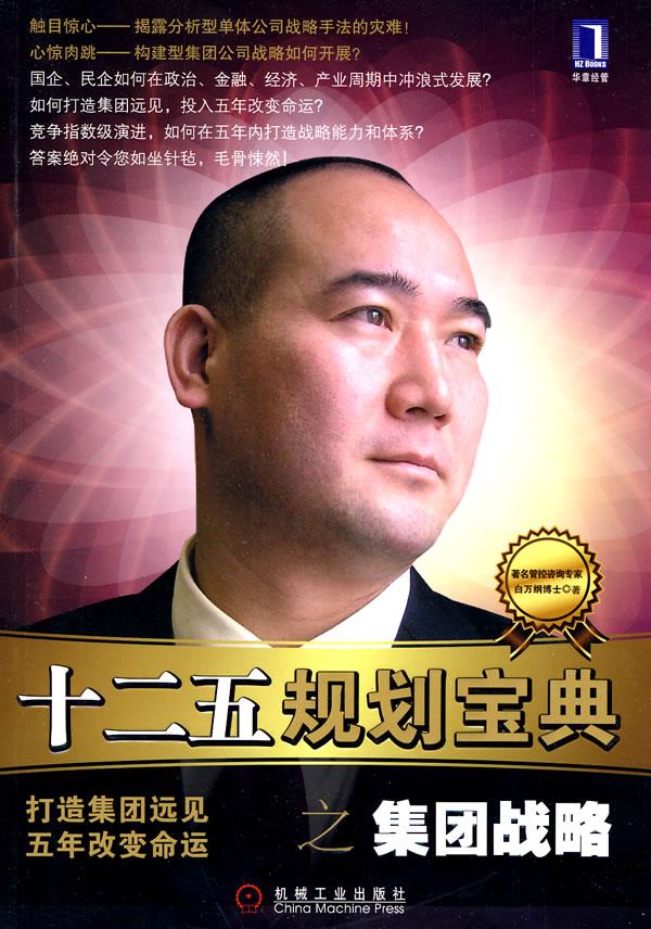 “十二五”规划宝典之集团战略