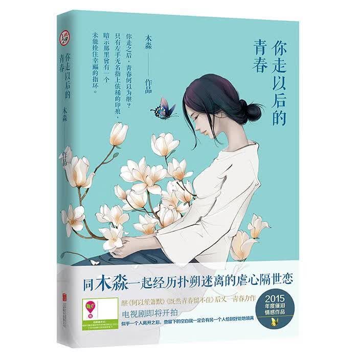 你走以后的青春 木淼【书】