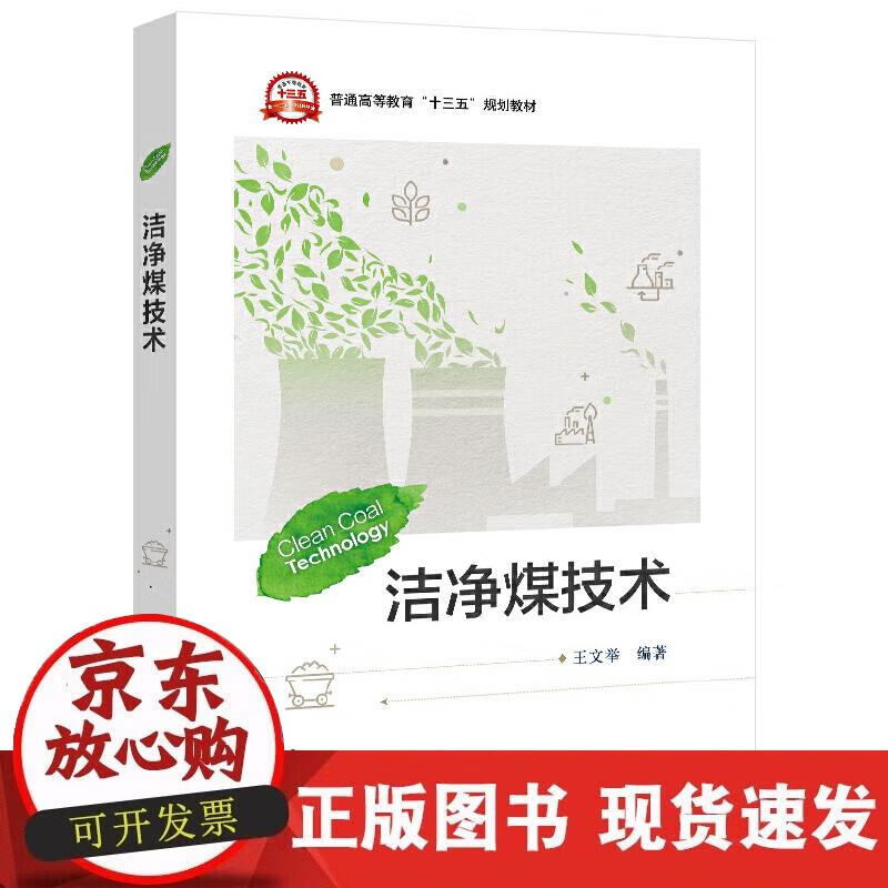 【现货】洁净煤技术