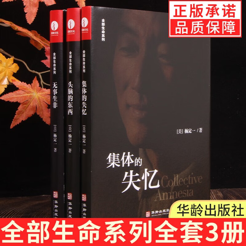 杨定一集体的失忆+头脑的东西+无事生非 杨定一全部生命系列 华龄出版社 找回集体失去的记忆 ，让失落的心重现爱与光明 关注身心健康，关注心灵成长和生命意义 全3册