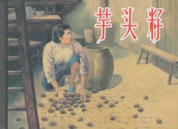 芋头籽