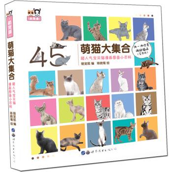 萌猫大集合超人气宝贝猫漫画图鉴小百科