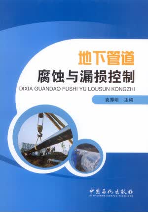 地下管道腐蚀与漏损控制 袁厚明主编