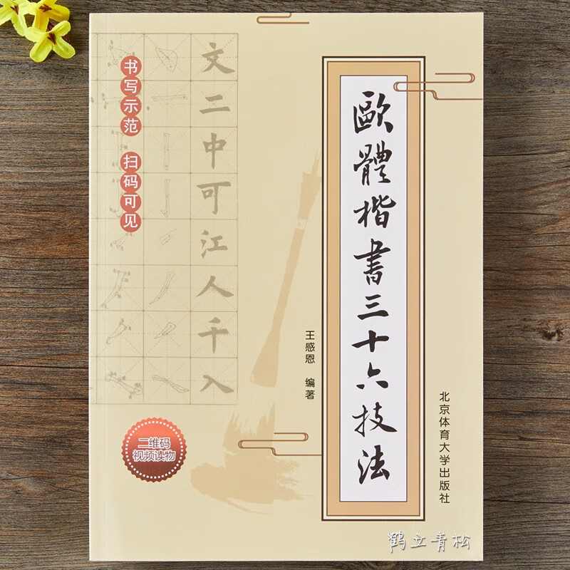 欧体楷书三十六技法 书法技法教程楷书书法教学书欧体楷书技法习练好欧楷书籍书法学习指导书楷书毛笔书法字帖