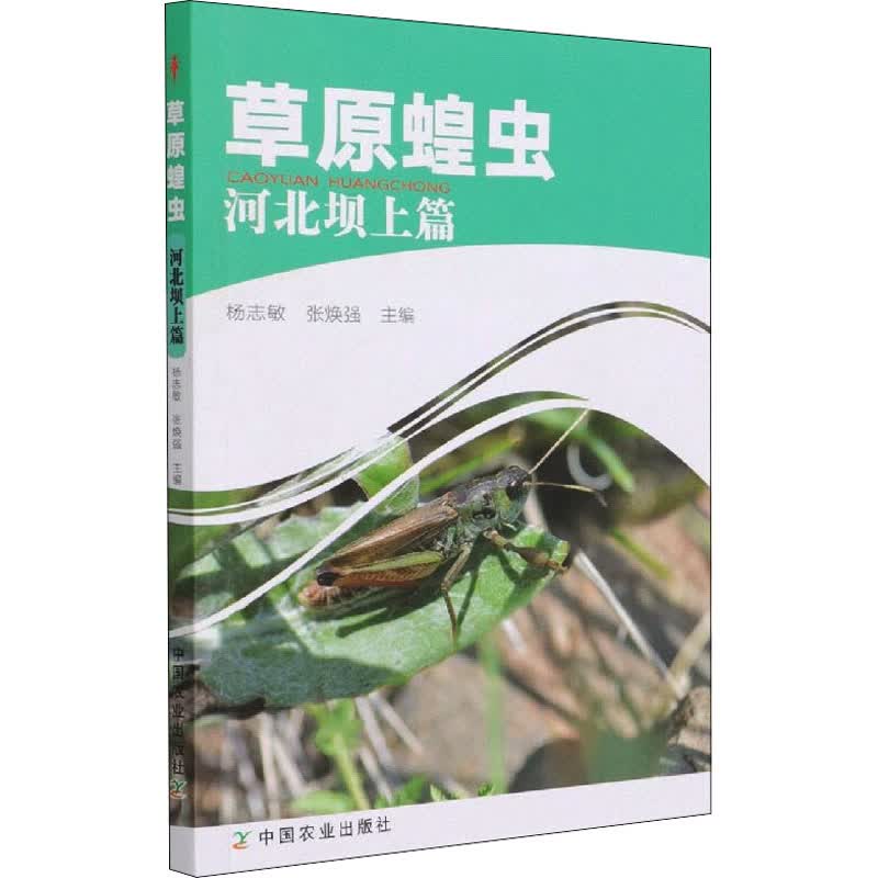 草原蝗虫 河北坝上篇
