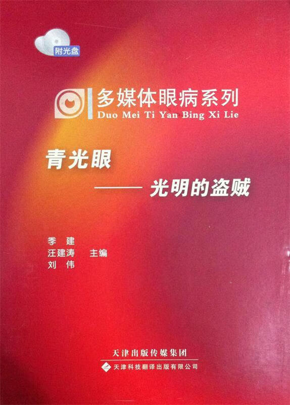 光明的盗贼 季建, 汪建涛, 刘伟主编【书】
