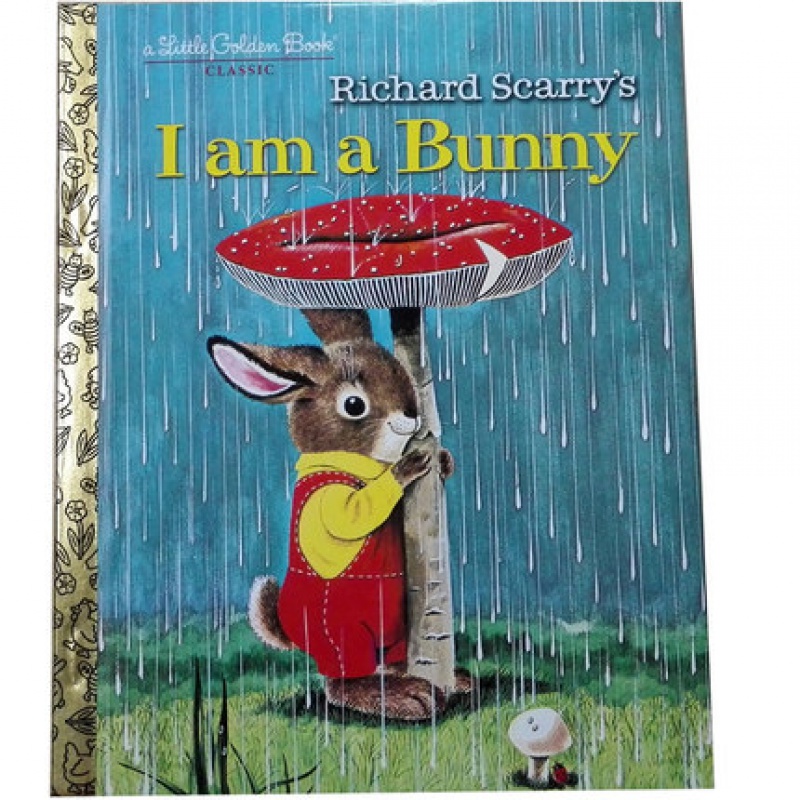 I Am A Bunny
