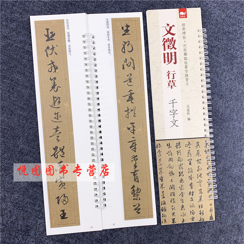 经典碑帖近距离临帖摹字练习卡 文征明行草千字文