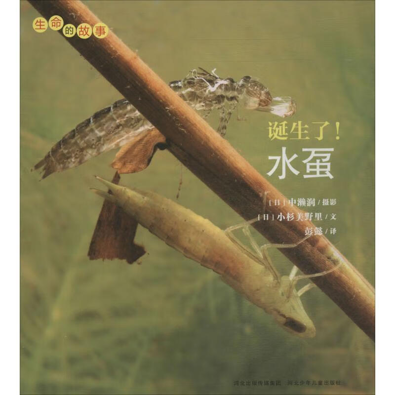 生命的故事系列:诞生了！水虿