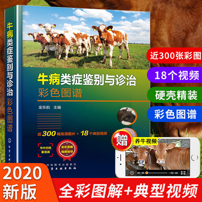 书籍 牛病类症鉴别与诊治彩色图谱 肉牛养殖癣皮肤病结节性诊断治疗大全养羊技术防治兽医母牛饲养管理