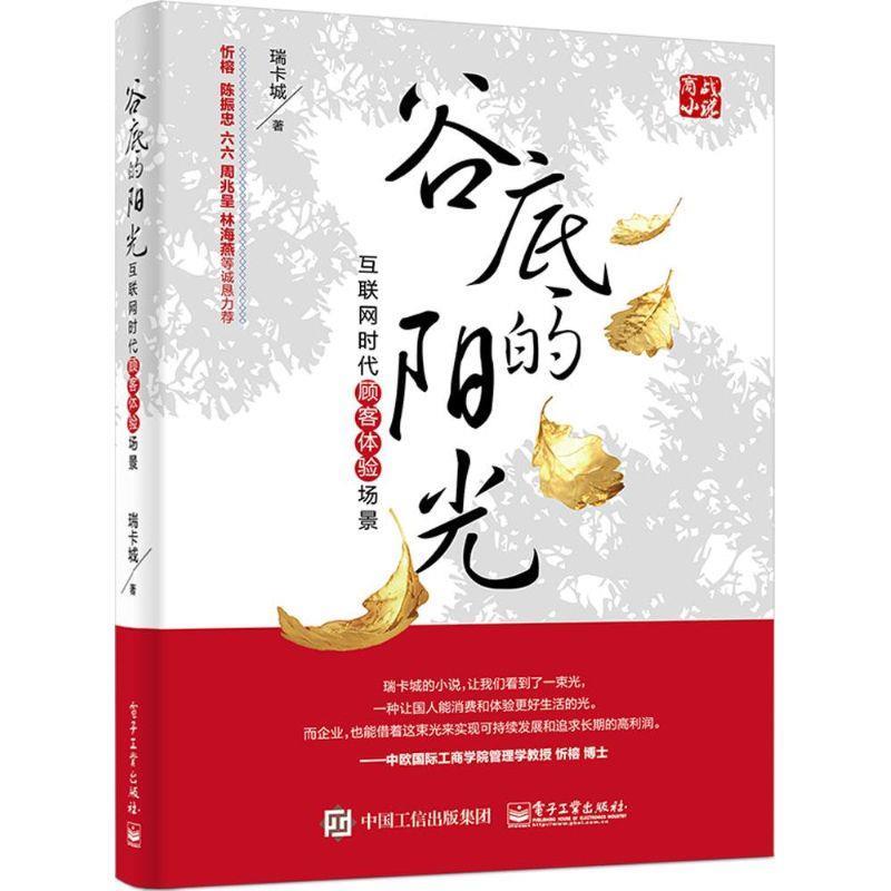 谷底的阳光 瑞卡城 著【书】