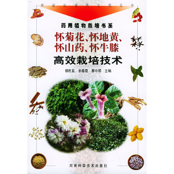 怀菊花、怀地黄高效栽培技术