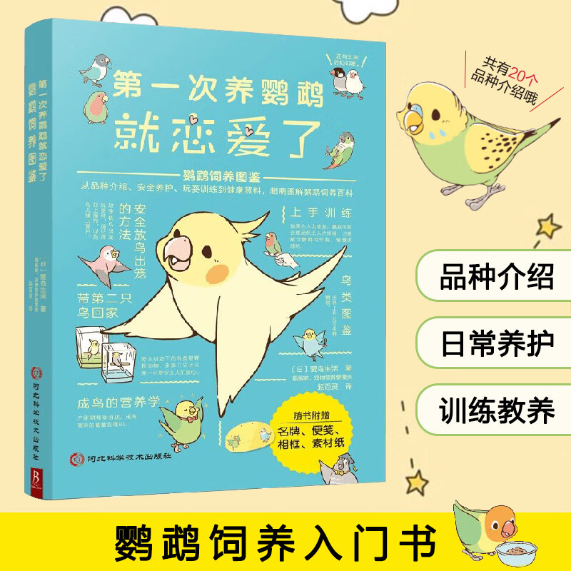 【赠名牌+便笺+相框+素材纸】第一次养鹦鹉就恋爱了 鹦鹉饲养图鉴 养鸟技术大全日常照料动物医学畜牧兽医书