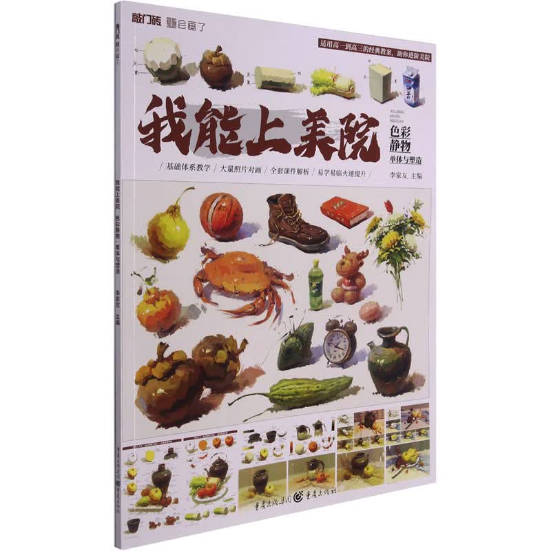 色彩静物 单体与塑造 图书
