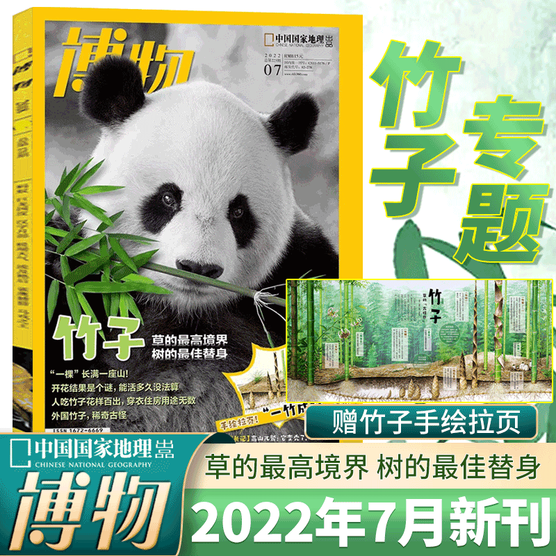 博物杂志 2022年7月 竹子专题